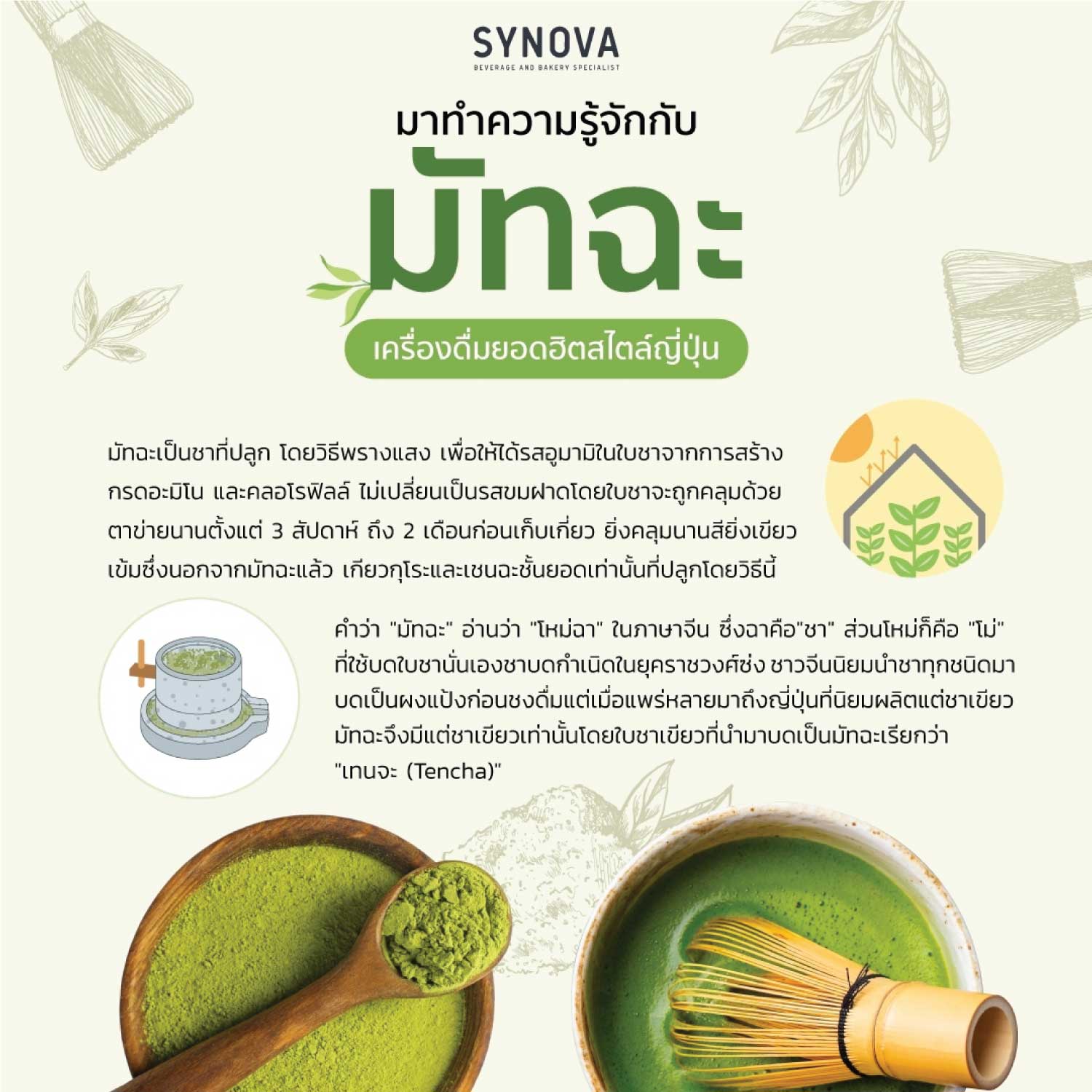 Synova Beverage & Bakery Solutions Provider | SYNOVA Ltd.